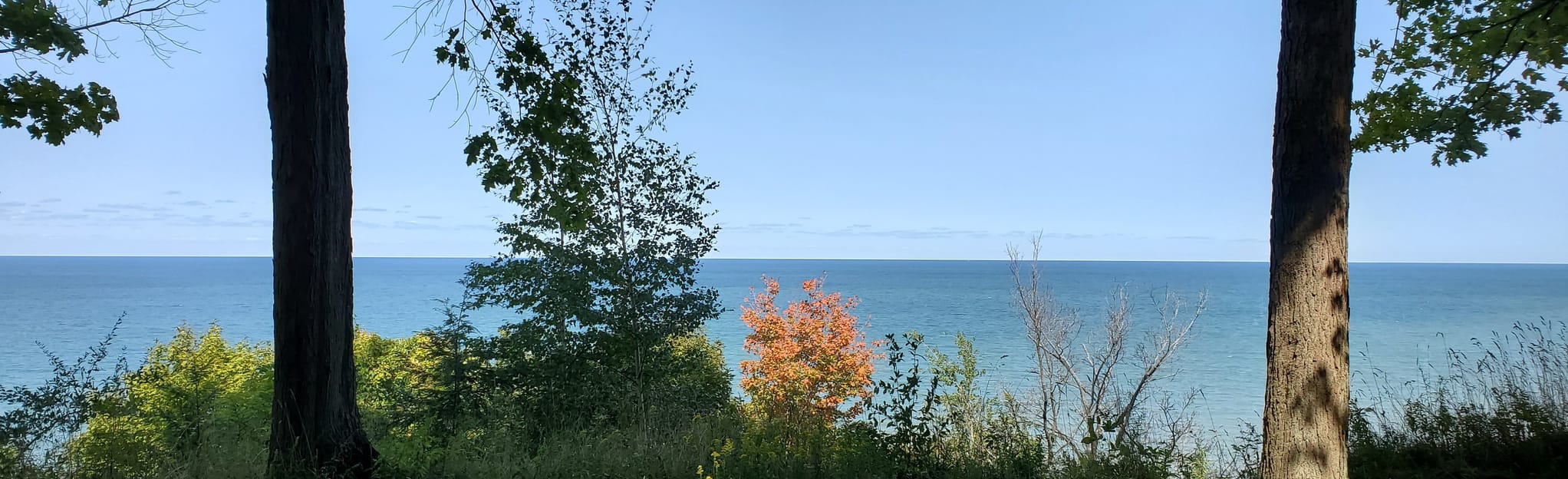 Lake Erie Community Park Trail, Pennsylvania - 27 Reviews, Map | AllTrails