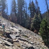 Muir Grove Trail, California - 322 Reviews, Map | AllTrails