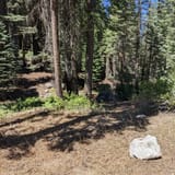 Muir Grove Trail, California - 322 Reviews, Map | AllTrails