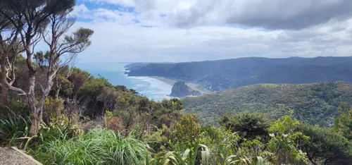 10 Best Trails and Hikes in Auckland | AllTrails