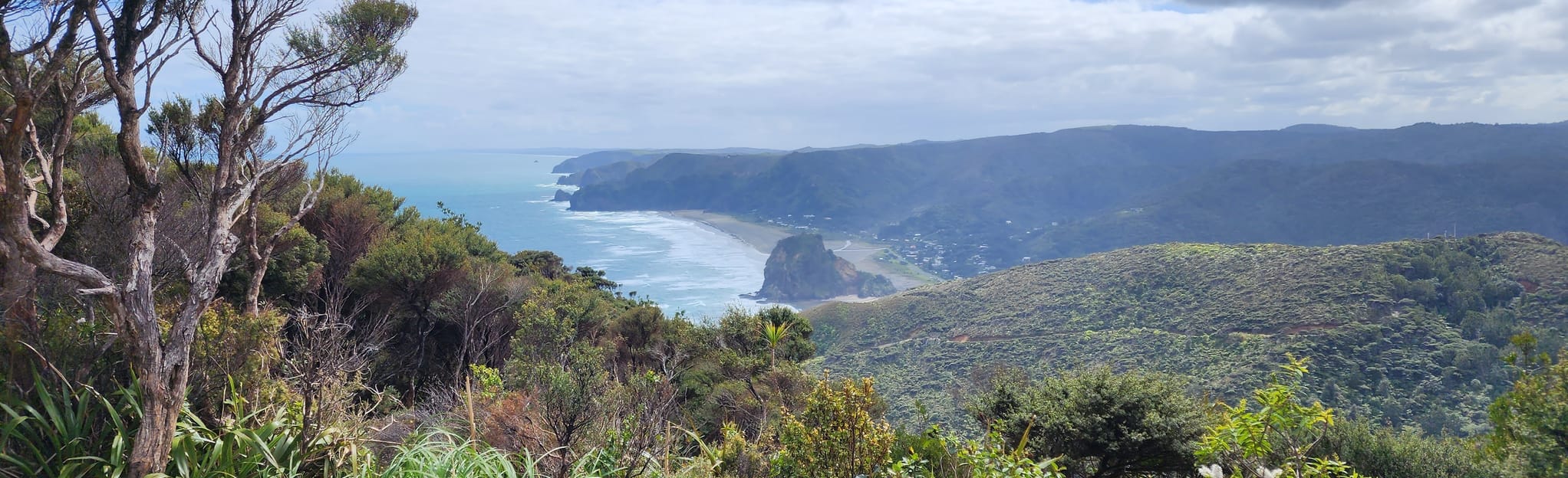 Mercer Bay Loop Track, Auckland, New Zealand - 473 Reviews, Map | AllTrails