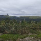 Brechfa Forest Circular, Carmarthenshire, Wales - 25 Reviews, Map ...
