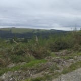 Brechfa Forest Circular, Carmarthenshire, Wales - 25 Reviews, Map ...