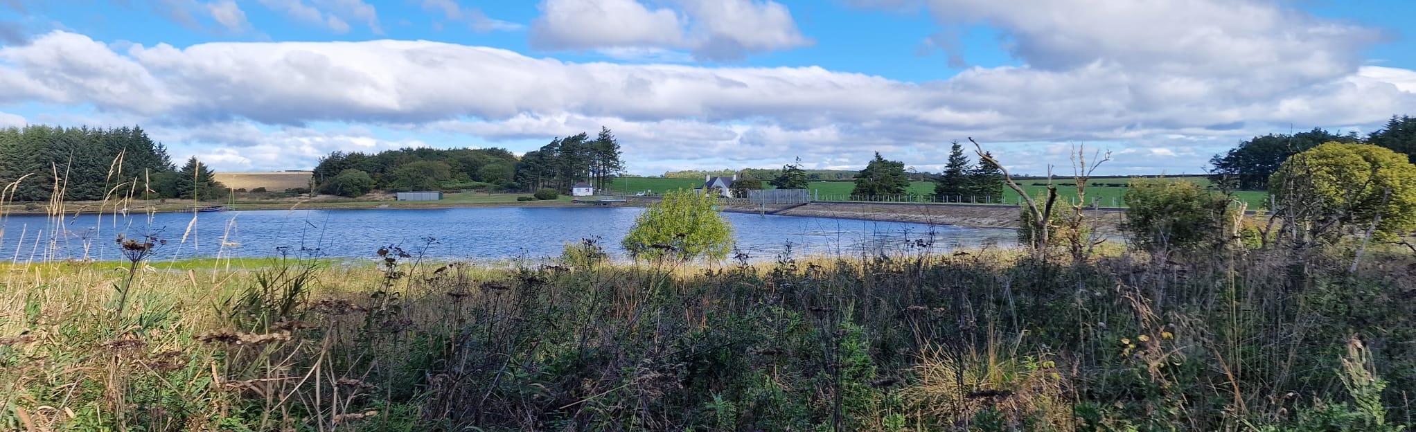 Cameron Reservoir, 20 Fotos - Fife, Scotland | AllTrails