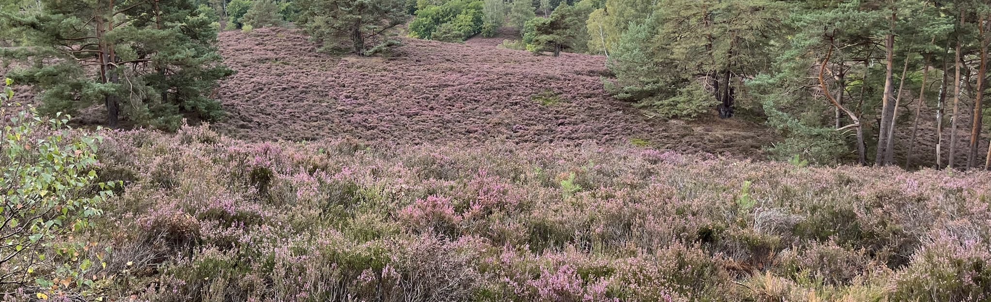 Mountainbike Tour Harburger Berge: 121 foto's - Hamburg, Duitsland ...