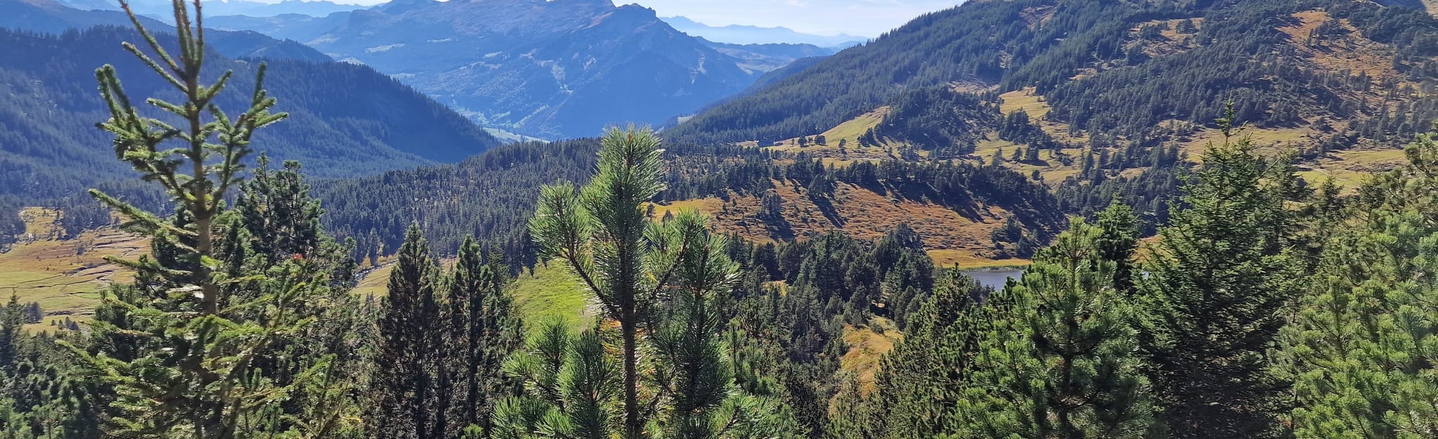 Glaubenberg - Fürstein: 57 Fotos - Obwalden, Schweiz | AllTrails