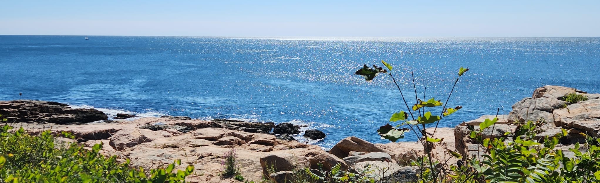 Magnolia Woods and Rafes Chasm Trail Loop: 47 Reviews, Map ...