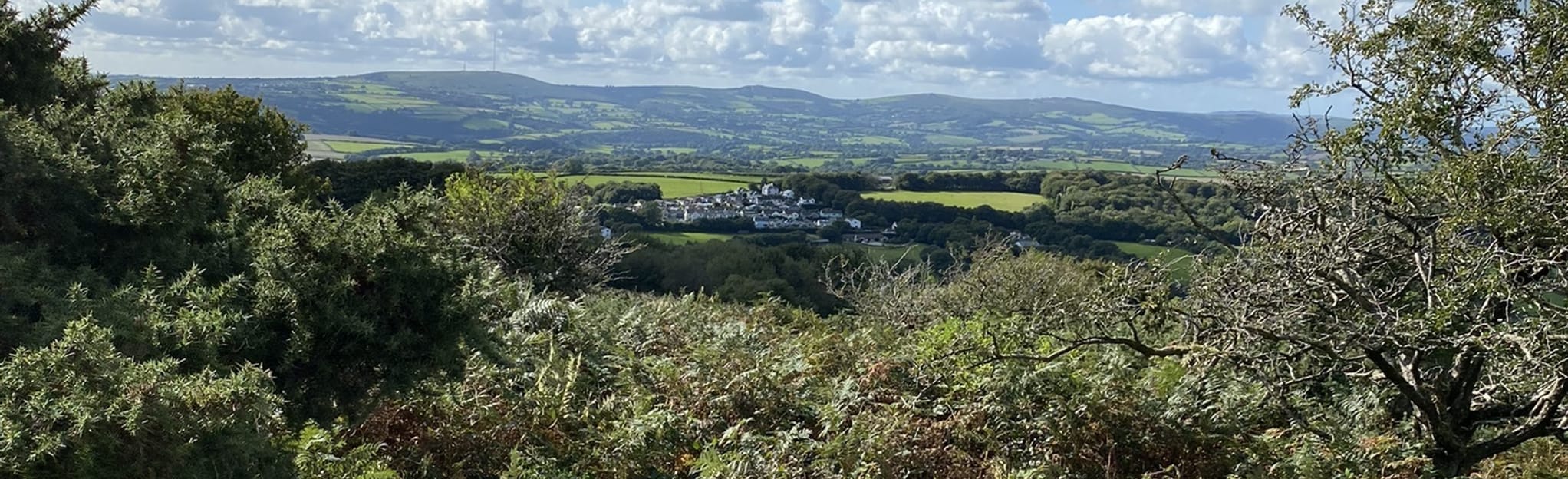 Kit Hill Country Park, Cornwall, England - 23 Reviews, Map | AllTrails