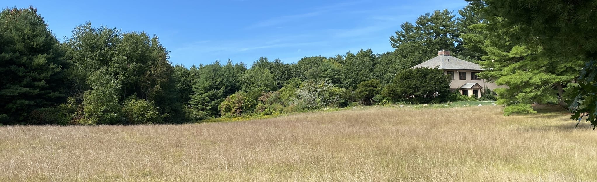 Fit, Hornbeam, Esker, Swamp, and Chesnut Trail Loop: 88 Reviews, Map ...