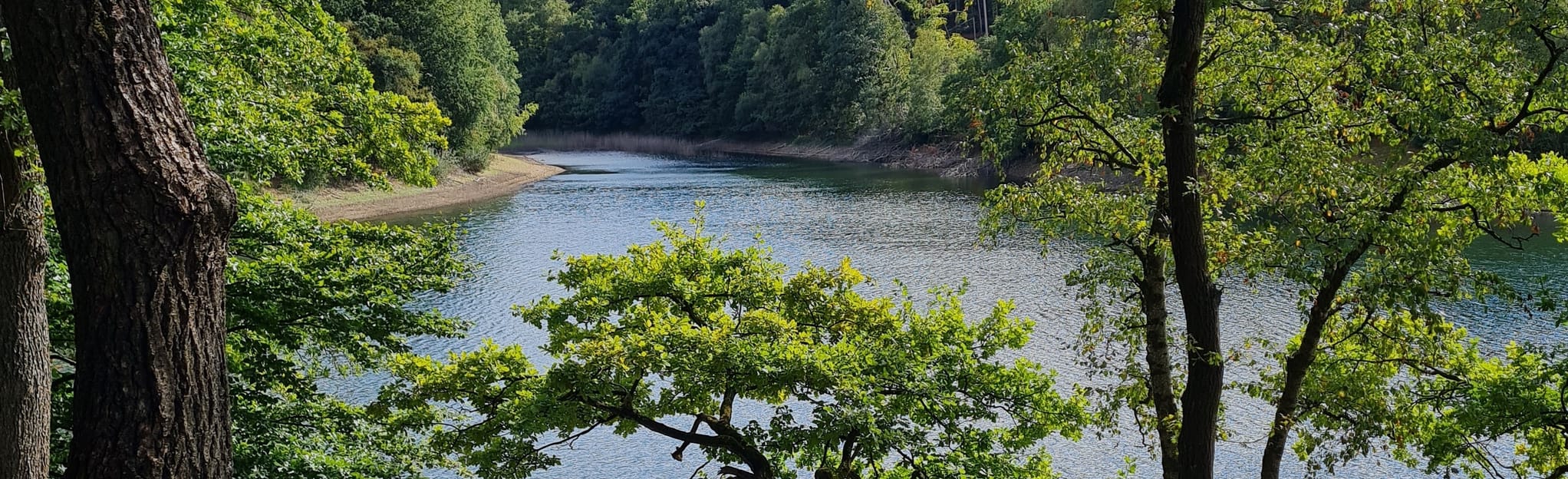 Rund um Halver, North Rhine-Westphalia, Germany - Map, Guide | AllTrails