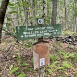 Spring Hill Yellow and Blue Loop Trail, Massachusetts - 236 Reviews ...