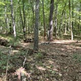 Spring Hill Yellow and Blue Loop Trail, Massachusetts - 236 Reviews ...