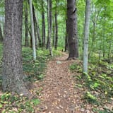 Spring Hill Yellow and Blue Loop Trail, Massachusetts - 236 Reviews ...