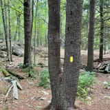 Spring Hill Yellow and Blue Loop Trail, Massachusetts - 236 Reviews ...