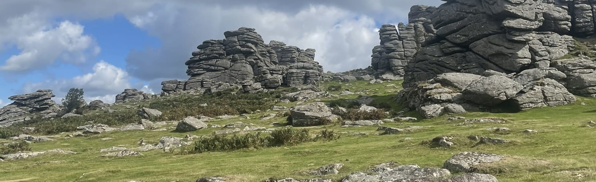 Lustleigh Cleave, Devon, England - 13 Reviews, Map | AllTrails