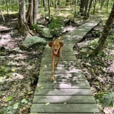 Spring Hill Yellow and Blue Loop Trail, Massachusetts - 236 Reviews ...