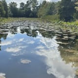 Sheldon Lake State Park Nature Loop, Texas - 236 Reviews, Map | AllTrails