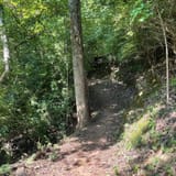Fort Dickerson Quarry Trail, Tennessee - 340 Reviews, Map | AllTrails