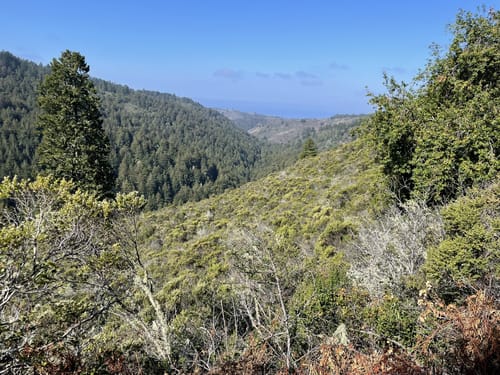Best 10 Hikes and Trails in Purisima Creek Redwoods Open Space Preserve ...