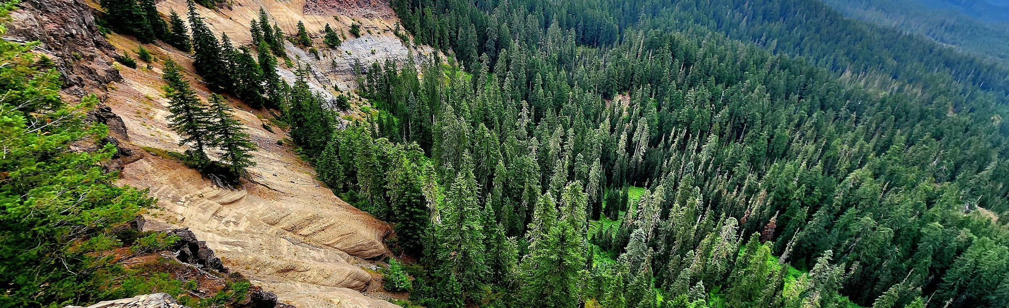 Scar Mountain Trail, Oregon - 18 Reviews, Map | AllTrails