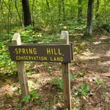 Spring Hill Yellow and Blue Loop Trail, Massachusetts - 236 Reviews ...