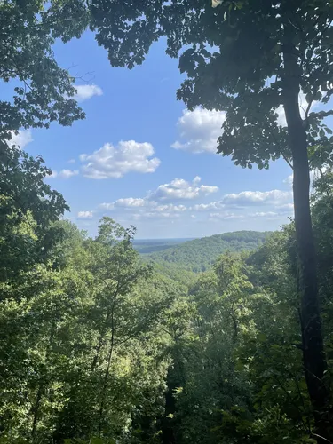 Best Waterfall Trails in Walhalla | AllTrails