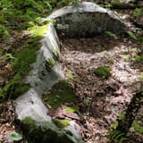 Spring Hill Yellow and Blue Loop Trail, Massachusetts - 236 Reviews ...