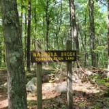 Spring Hill Yellow and Blue Loop Trail, Massachusetts - 236 Reviews ...