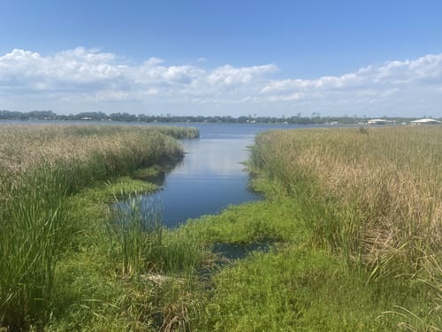 Best 10 Hikes and Trails in Gulf State Park | AllTrails