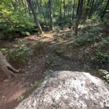 Trumbull Loop, Connecticut - 333 Reviews, Map | AllTrails