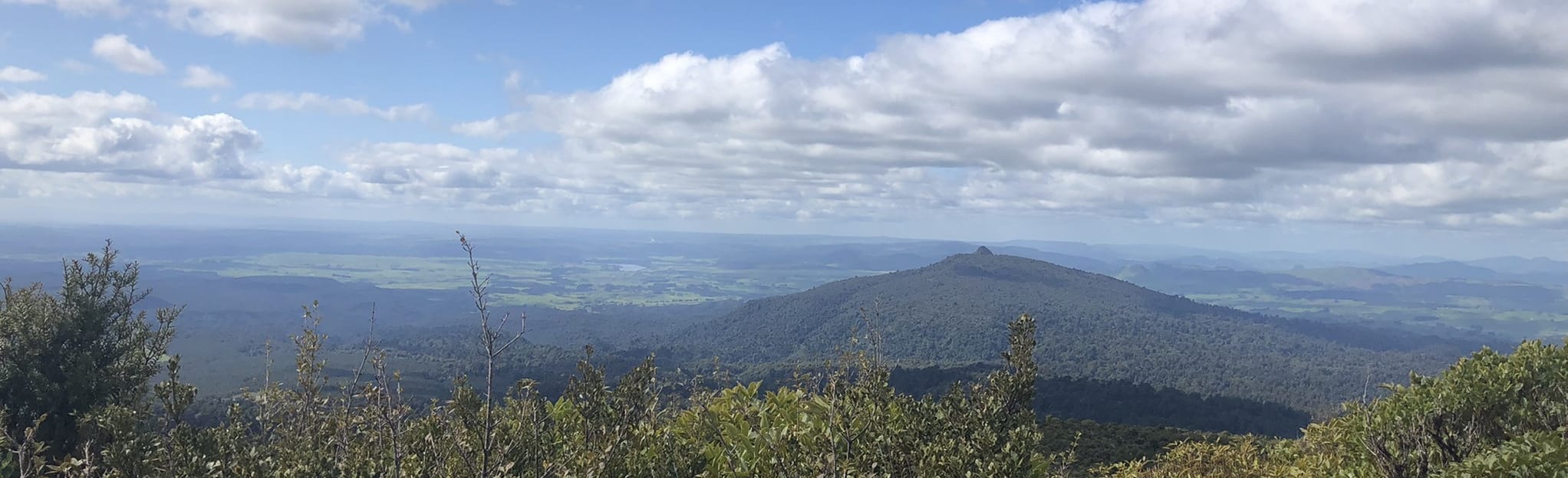 Mount Pureora from Link Road, Waikato, New Zealand - 21 Reviews, Map ...