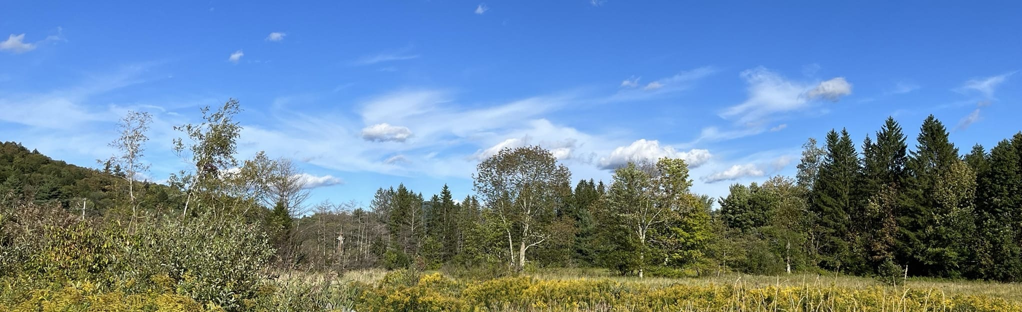 Hosford Heart of the Valley Trail: 14 Reviews, Map - Vermont | AllTrails