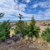 Big Butte Loop, Montana - 223 Reviews, Map | AllTrails