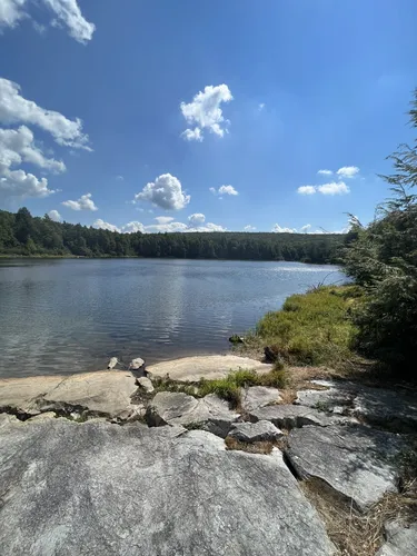 Best Views Trails in Walpack | AllTrails