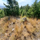 Big Butte Loop, Montana - 223 Reviews, Map | AllTrails