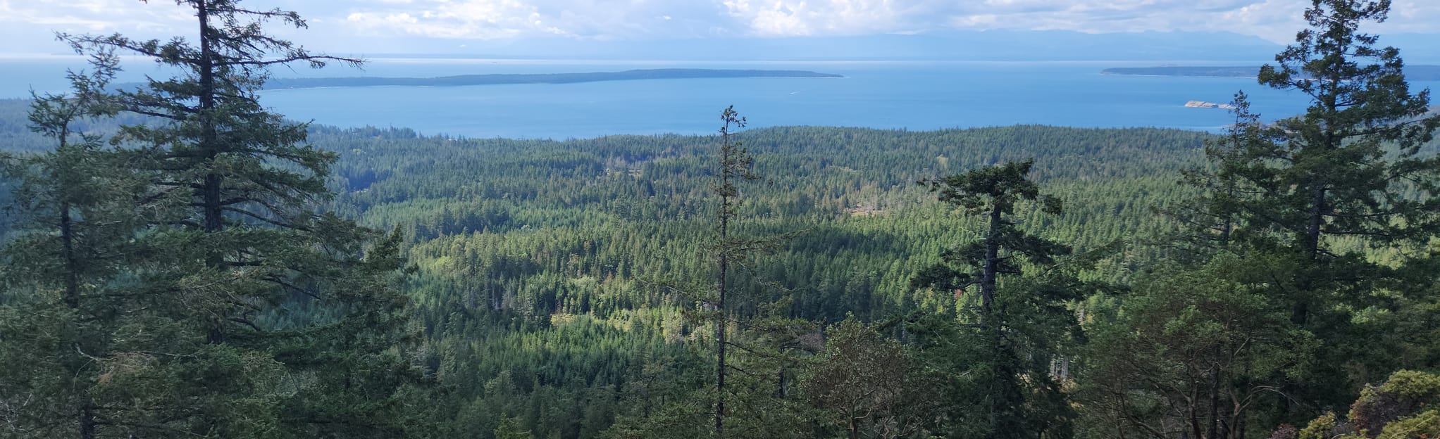 Wednesday Lake Loop: 16 Reviews, Map - British Columbia, Canada | AllTrails