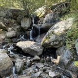 Crystal Creek Reservoir Trail, Colorado - 352 Reviews, Map | AllTrails