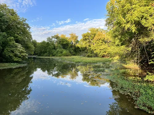 10 Best Trails and Hikes in Springfield | AllTrails