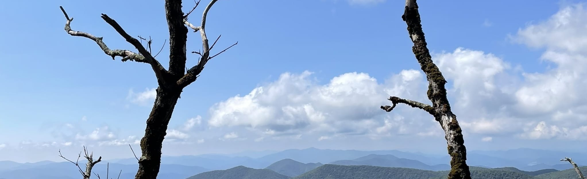 Appalachian and Beech Gap Trail via Deep Gap: 35 Reviews, Map - North ...