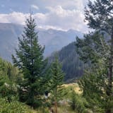 Falls Creek Trail to Legore Mine, Oregon - 79 Reviews, Map | AllTrails