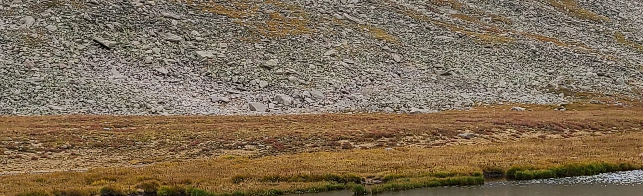 Mount Blue Sky Scenic Byway, Colorado - 298 Reviews, Map | AllTrails
