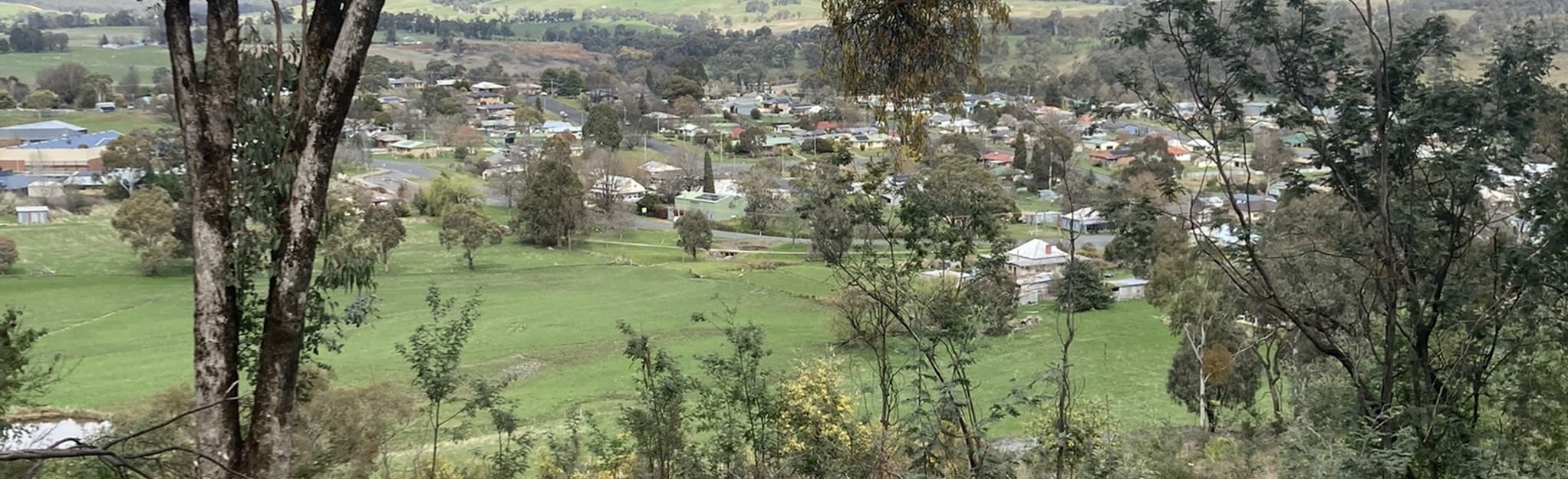Tumbarumba Lookout Trail, New South Wales, Australia - 3 Reviews, Map ...