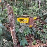 Gunung Arong Loop, Johor, Malaysia - 32 Reviews, Map | AllTrails