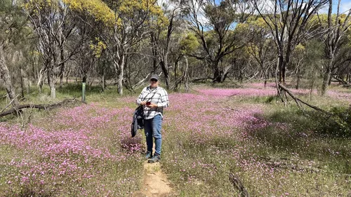 Best Hikes and Trails in Quairading | AllTrails