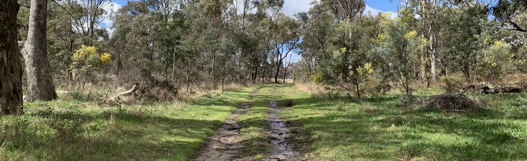 Mugga Mugga Nature Reserve Loop: 9 Reviews, Map - Australian Capital ...