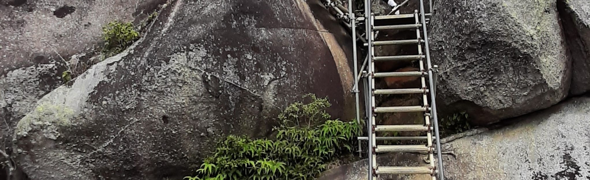Jejak Gunung Datuk - Negeri Sembilan, Malaysia | AllTrails