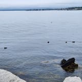 Parson's Way, Maine - 348 Reviews, Map | AllTrails