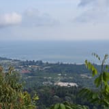 Gunung Arong Loop, Johor, Malaysia - 32 Reviews, Map | AllTrails