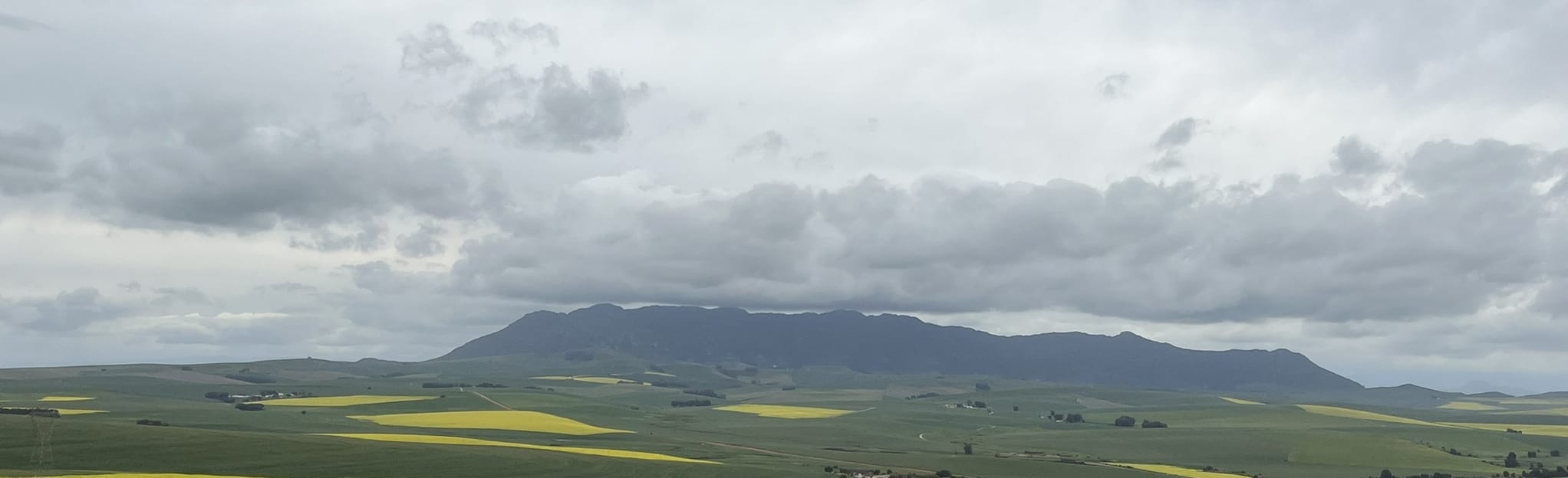 Triangle Path Woods Trail, Western Cape, South Africa - 2 Reviews, Map ...