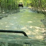 AOAA Green Trails Loop, Pennsylvania - 25 Reviews, Map | AllTrails